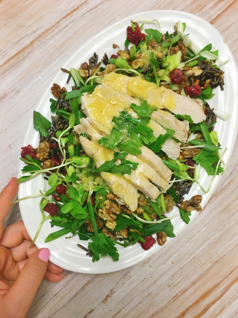Turkey, Cranberry and Wild Rice Salad - VivehealthVivehealth